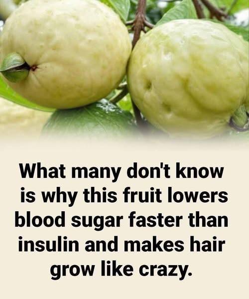 Unlock the Power of Guava: Nature’s Secret for Balanced Blood Sugar - s ...